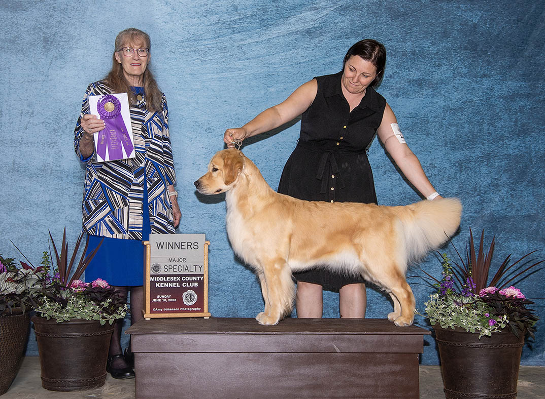 Skye - Goldenway's Over The Sea To Skye CD BN TKN ATT CGCA FITG CCA ...