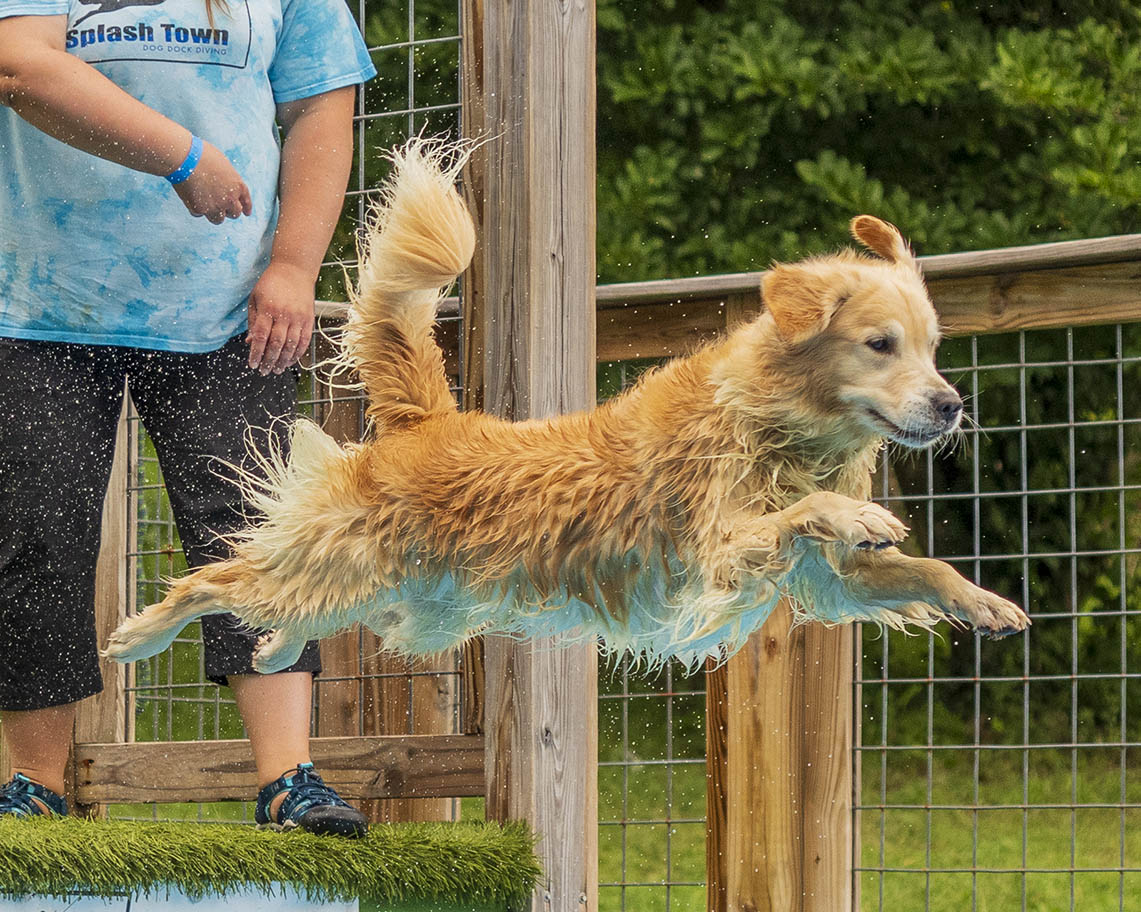 Sophie - Goldenway's Here Comes The Sun BN DCAT DS DJ CGCA CGCU TKA ATT ...