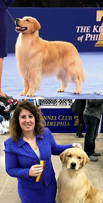 Golden Retriever Puppies | Sea Glass Goldens | Reputable Golden ...